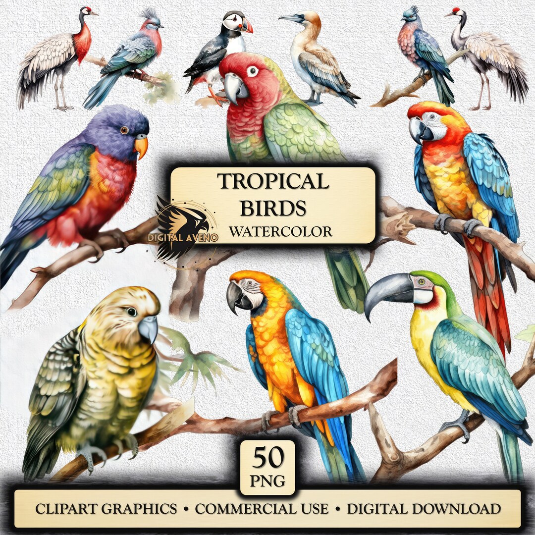 Watercolor Tropical Birds 50 PNG Images, Birds Watercolor, Bird ...