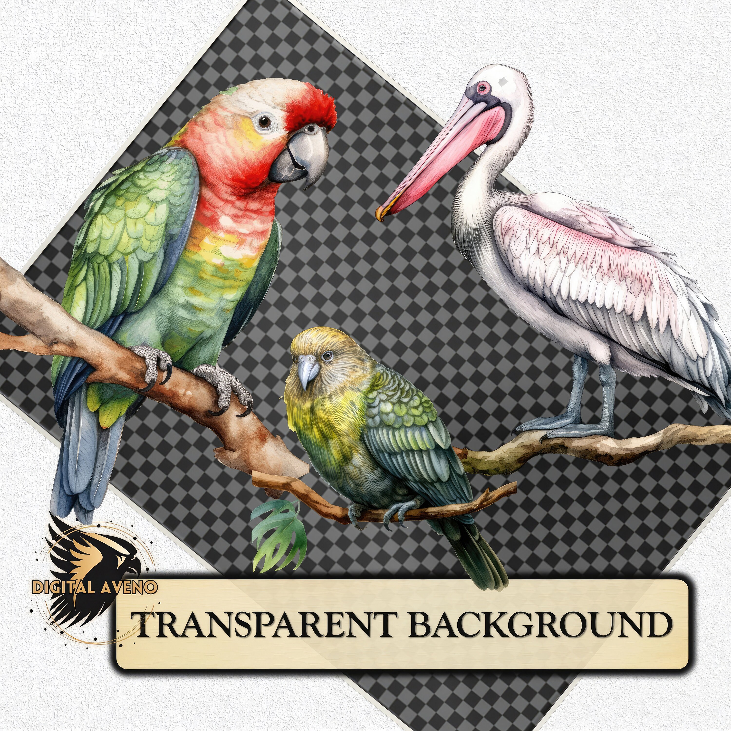 Watercolor Tropical Birds 50 PNG Images, Birds Watercolor, Bird ...