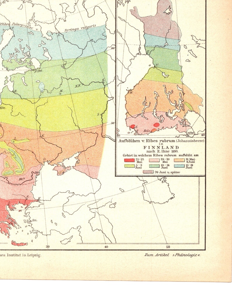 Original 1897 Antique Colour Lithography Print Beautiful ...