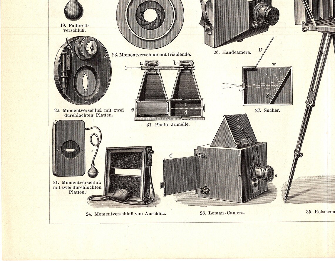 Original 1894 Antique Colour Lithography Print of the Photographic ...