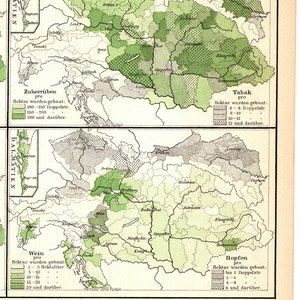 Original 1897 Antique Colour Lithography Print Beautiful Map Austrian ...