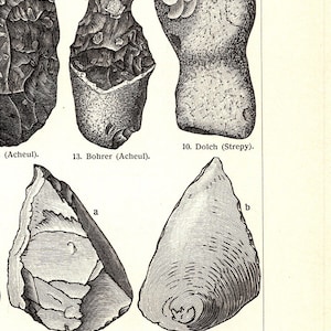 Original 1908 Antique Colour Lithography Print of Stone Age Group ...