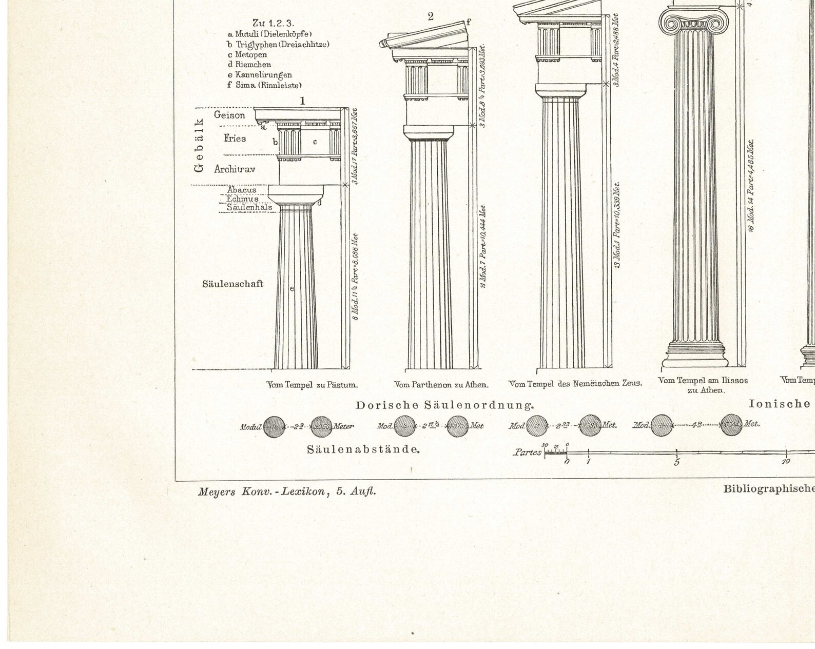 Original 1897 Antique Lithography Print Ancient Columns Säulenordnungen ...