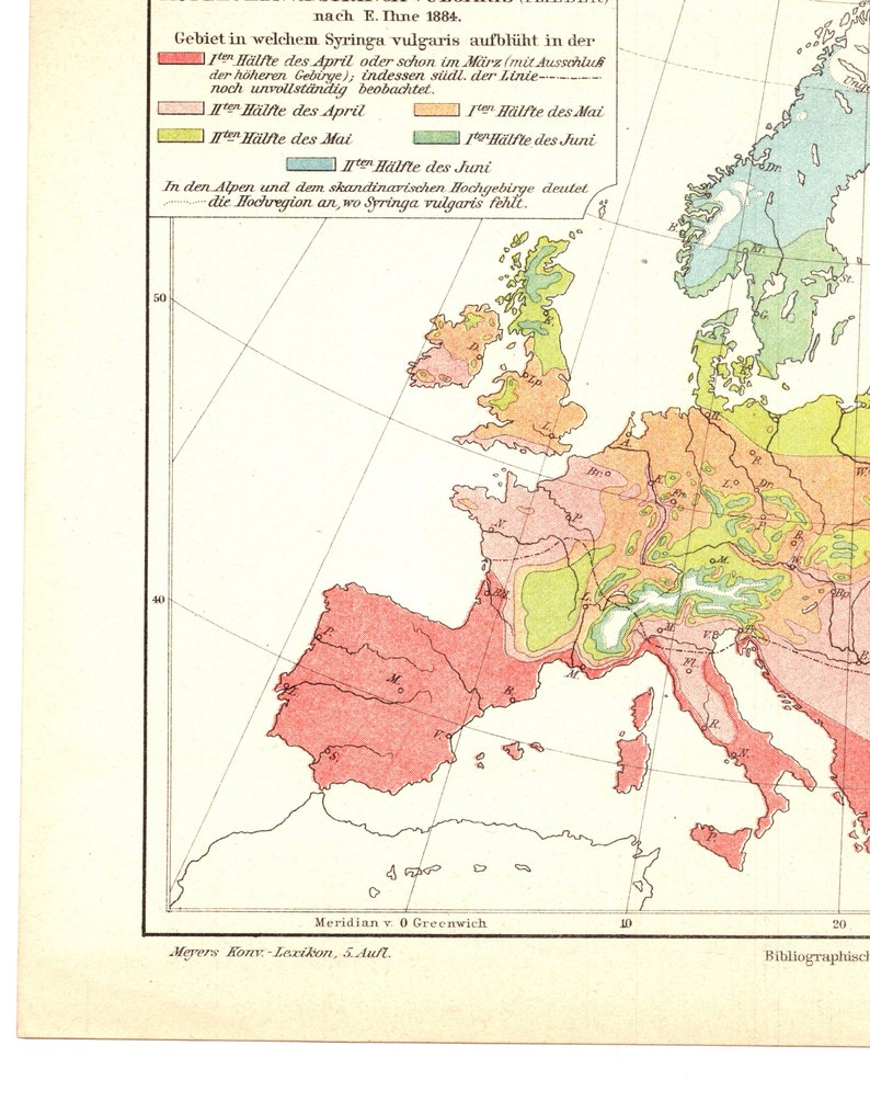 Original 1897 Antique Colour Lithography Print Beautiful ...