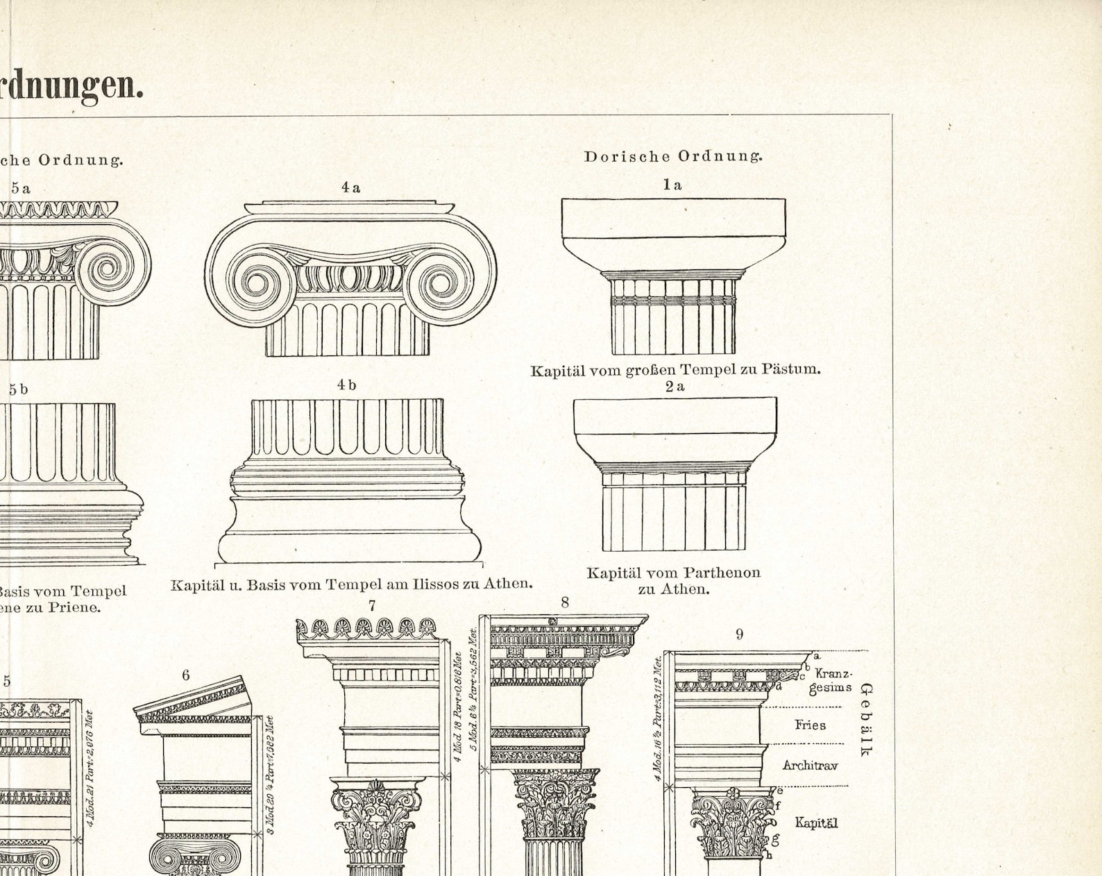 Original 1897 Antique Lithography Print Ancient Columns Säulenordnungen ...
