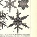 Original 1897 Antique Colour Lithography Print of Snowflakes - Etsy