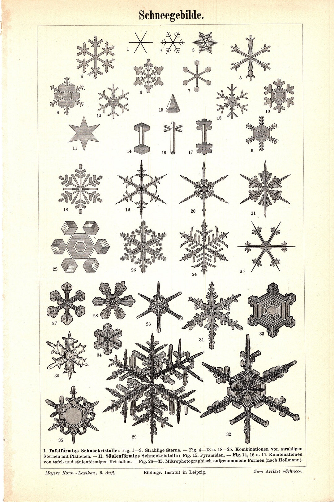 Original 1897 Antique Colour Lithography Print of Snowflakes Icicles ...