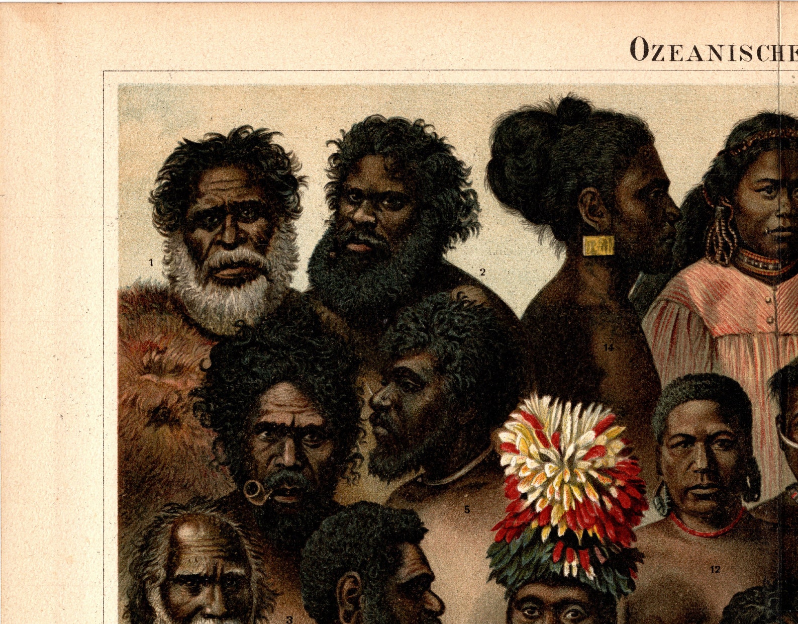 Original 1897 Antique Colour Lithography Print Oceanic Peoples ...