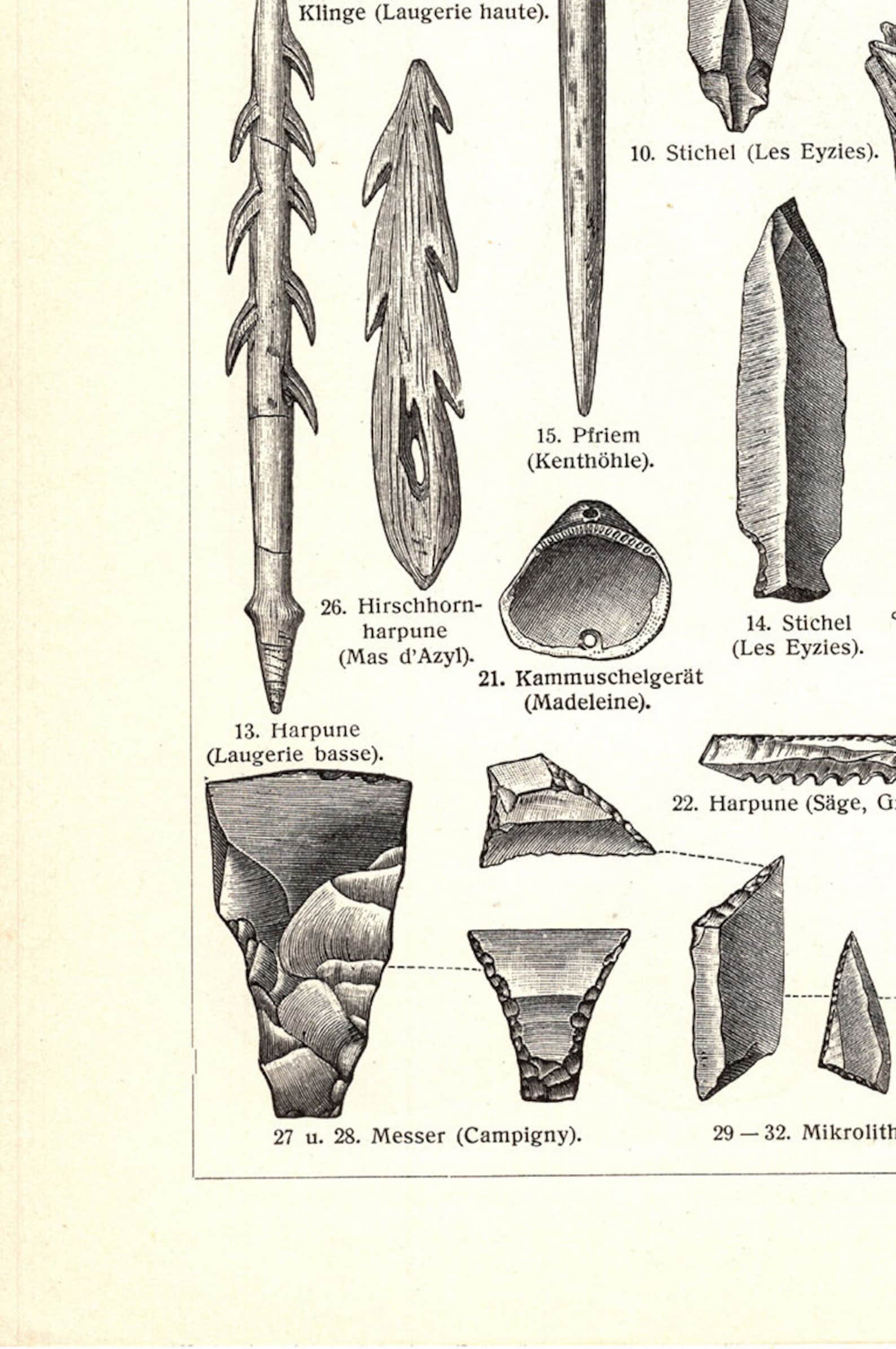 Original 1908 Antique Colour Lithography Print of Stone Age Group ...