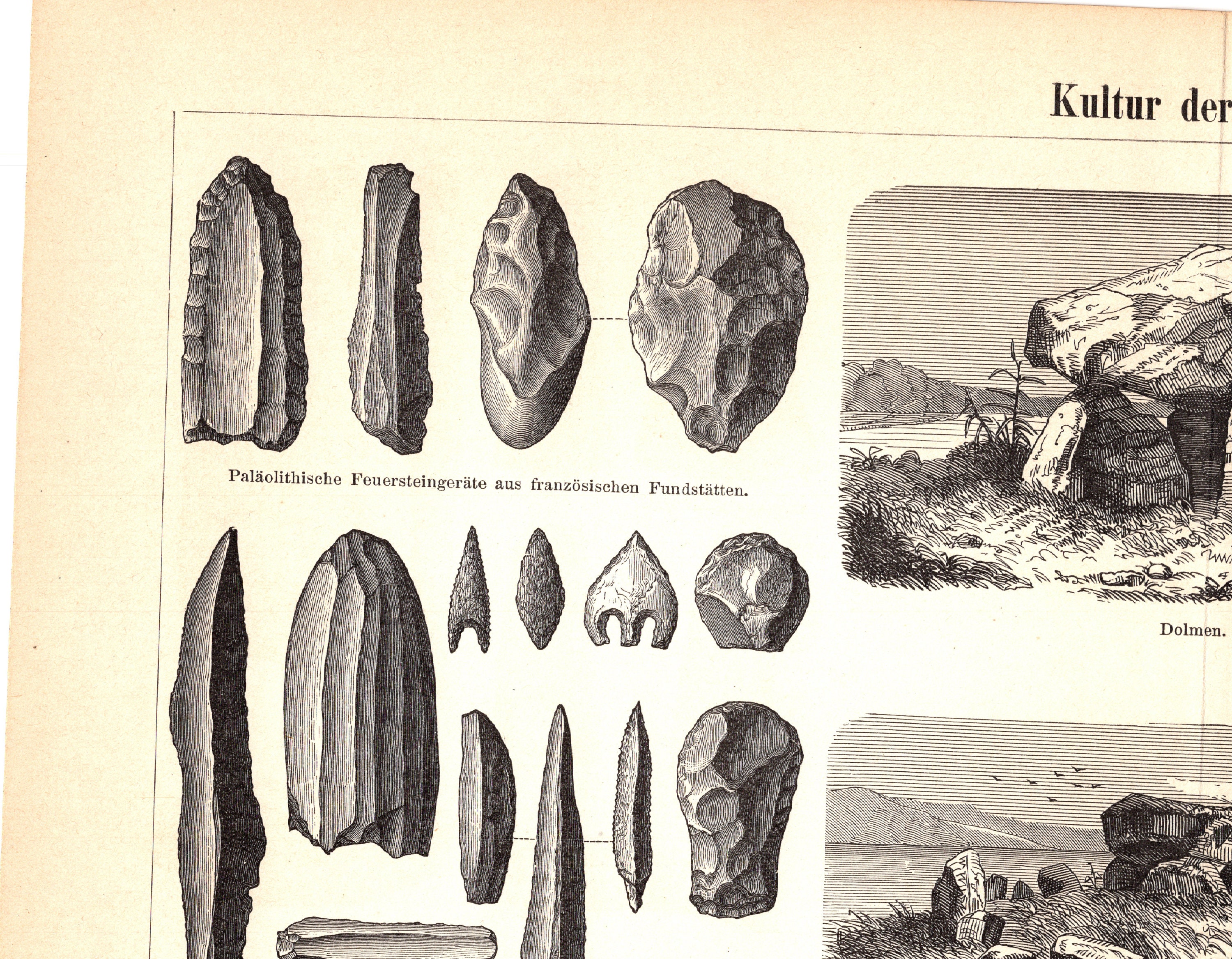 Original 1897 Antique Lithography Print of Petrifacts Stone Age Group ...