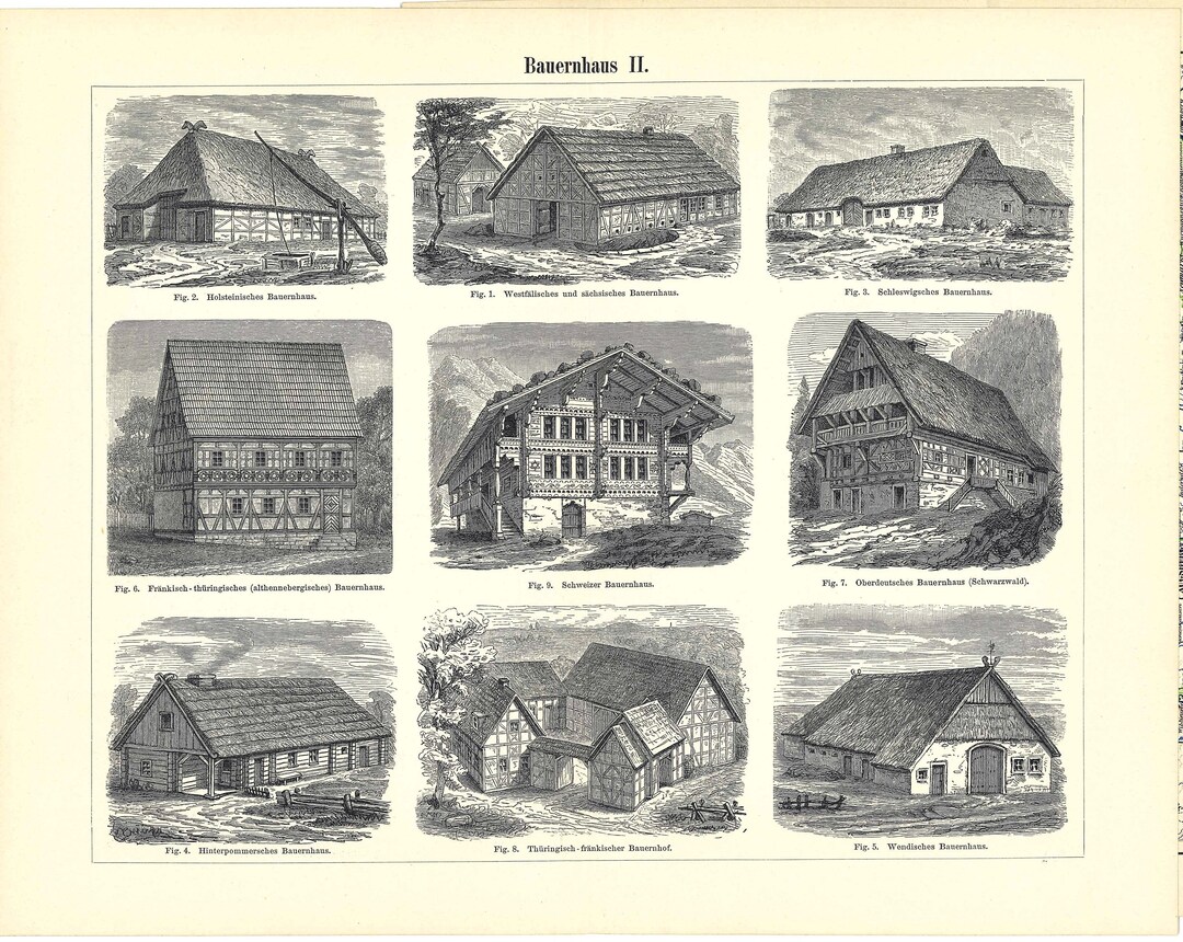 Original 1897 Antique Colour Lithography Print Different Types of ...