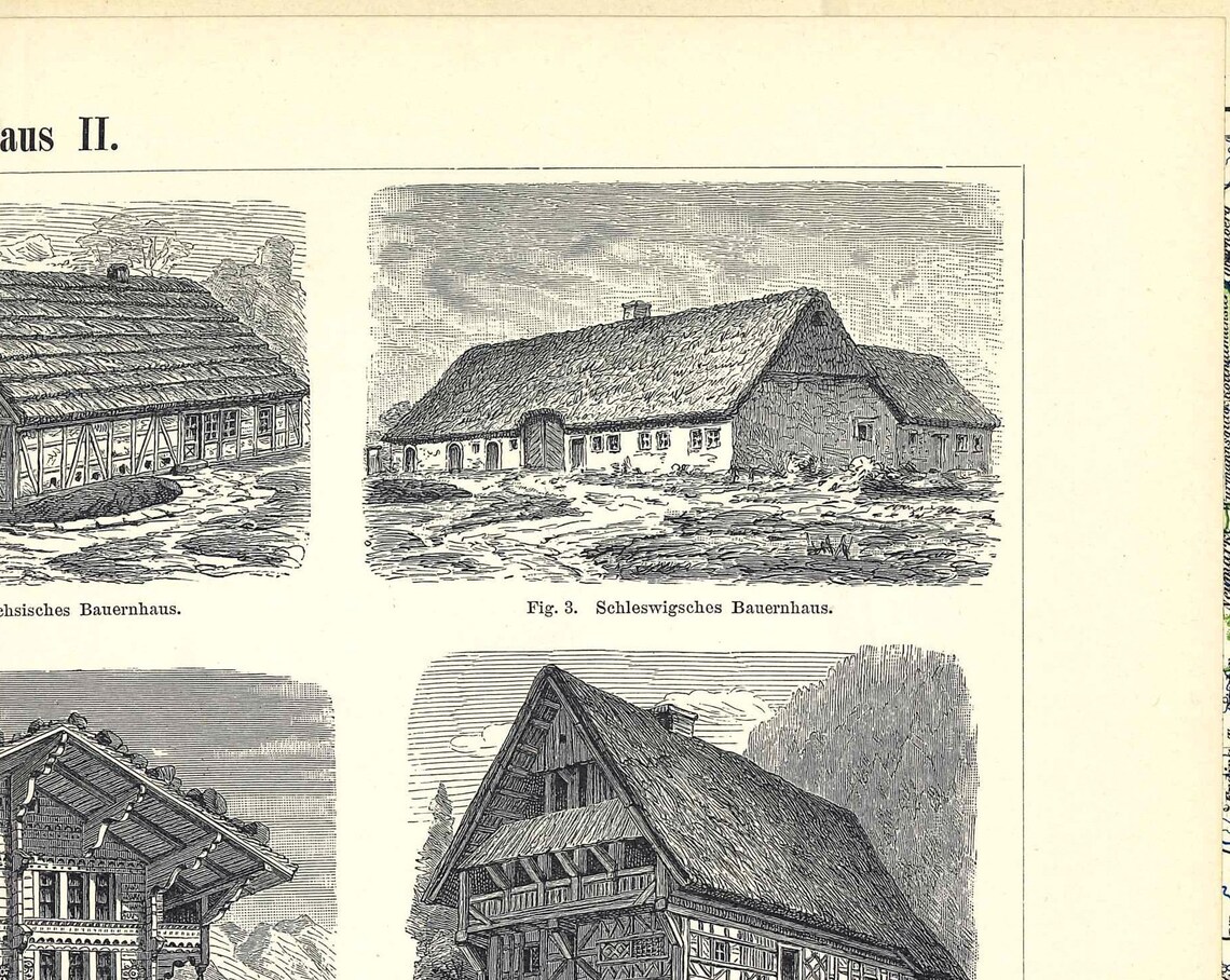 Original 1897 Antique Colour Lithography Print Different Types of ...