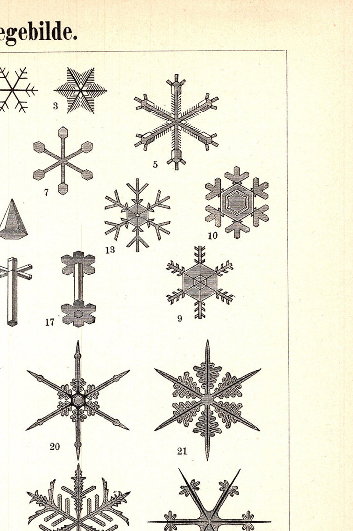 Original 1897 Antique Colour Lithography Print of Snowflakes - Etsy