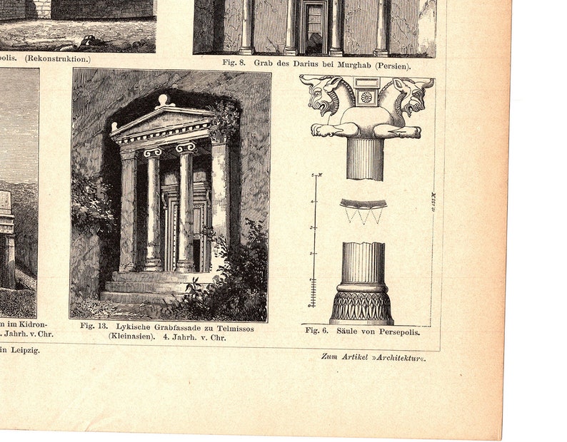 Original 1897 Antique Colour Lithography Print of Different of the ...