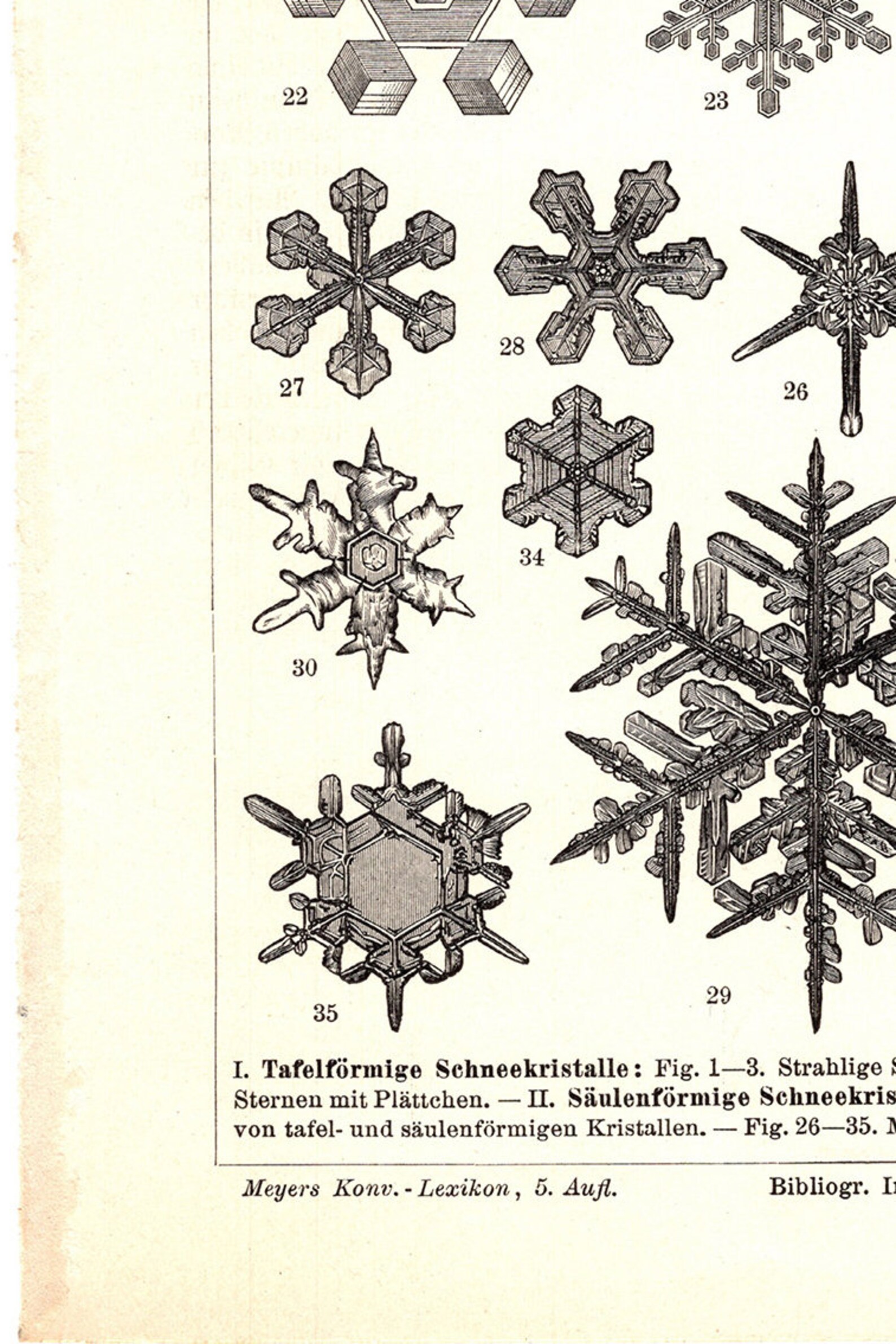 Original 1897 Antique Colour Lithography Print of Snowflakes - Etsy