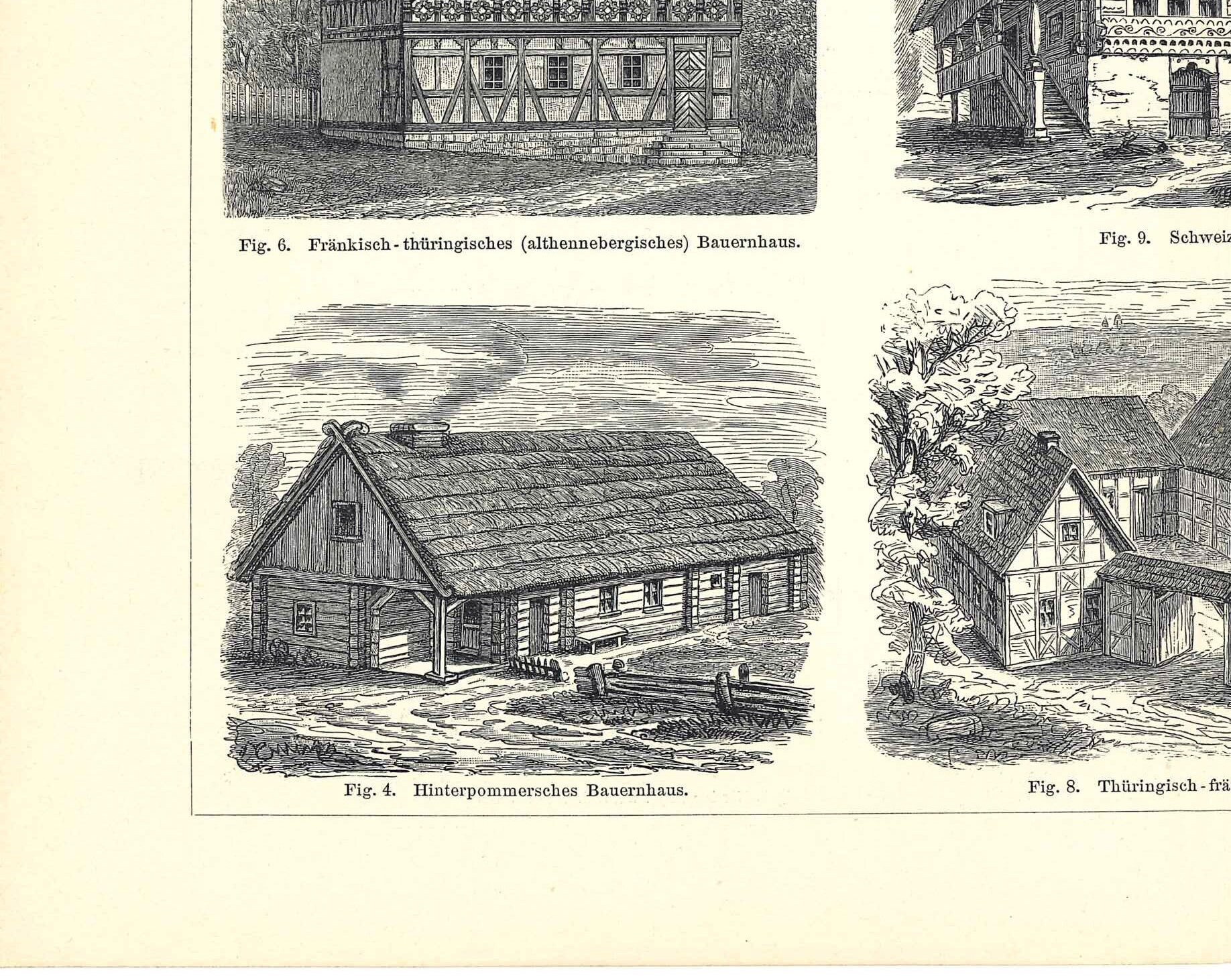 Original 1897 Antique Colour Lithography Print Different Types of ...