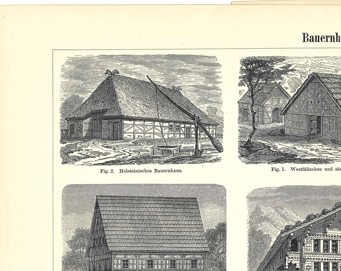 Original 1897 Antique Colour Lithography Print Different Types of ...