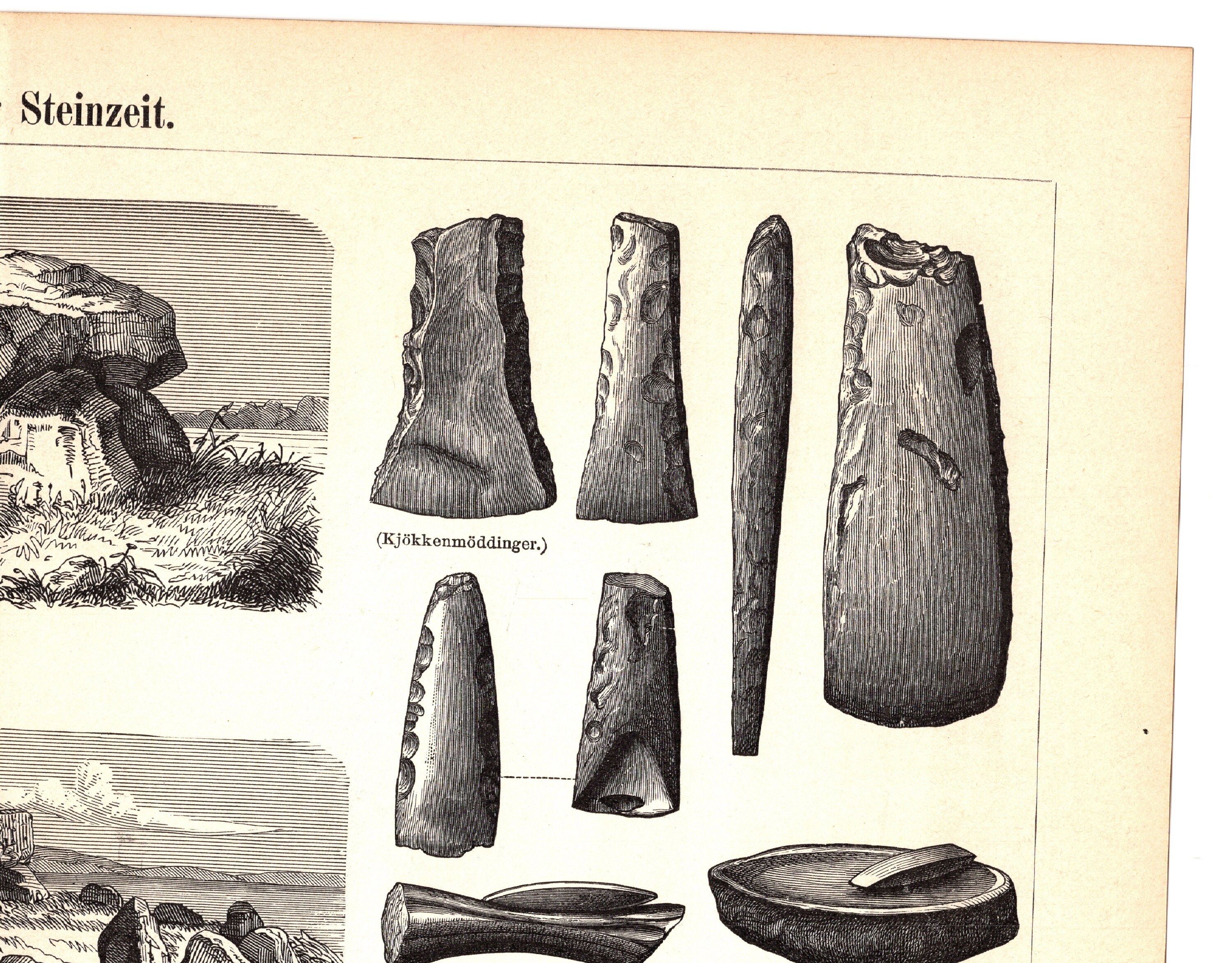 Original 1897 Antique Lithography Print of Petrifacts Stone Age Group ...