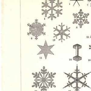 Original 1897 Antique Colour Lithography Print of Snowflakes - Etsy