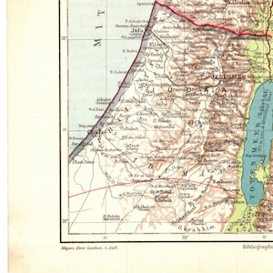 Original 1897 Antique Colour Lithography Print of a Beautiful ...