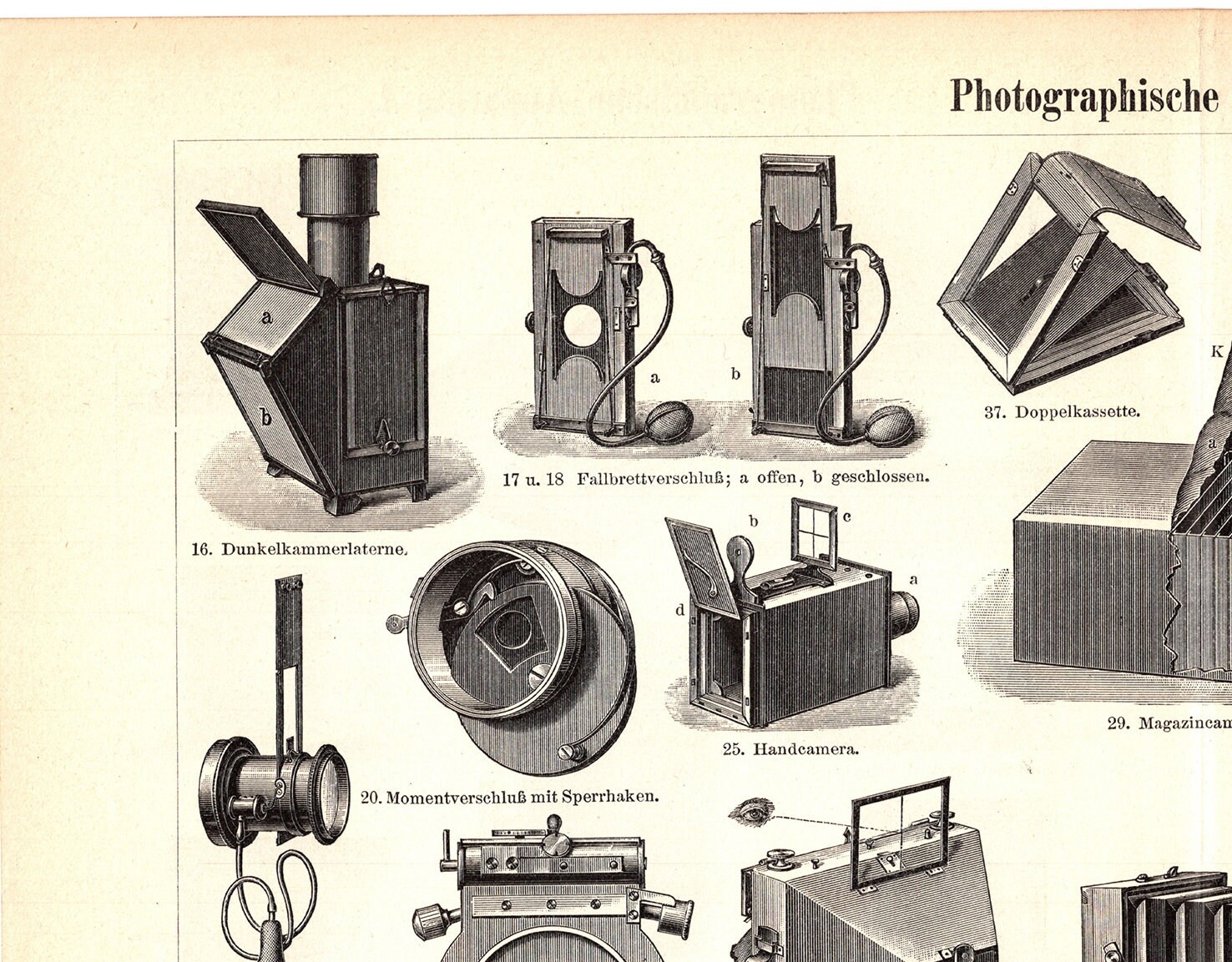 Original 1894 Antique Colour Lithography Print of the Photographic ...