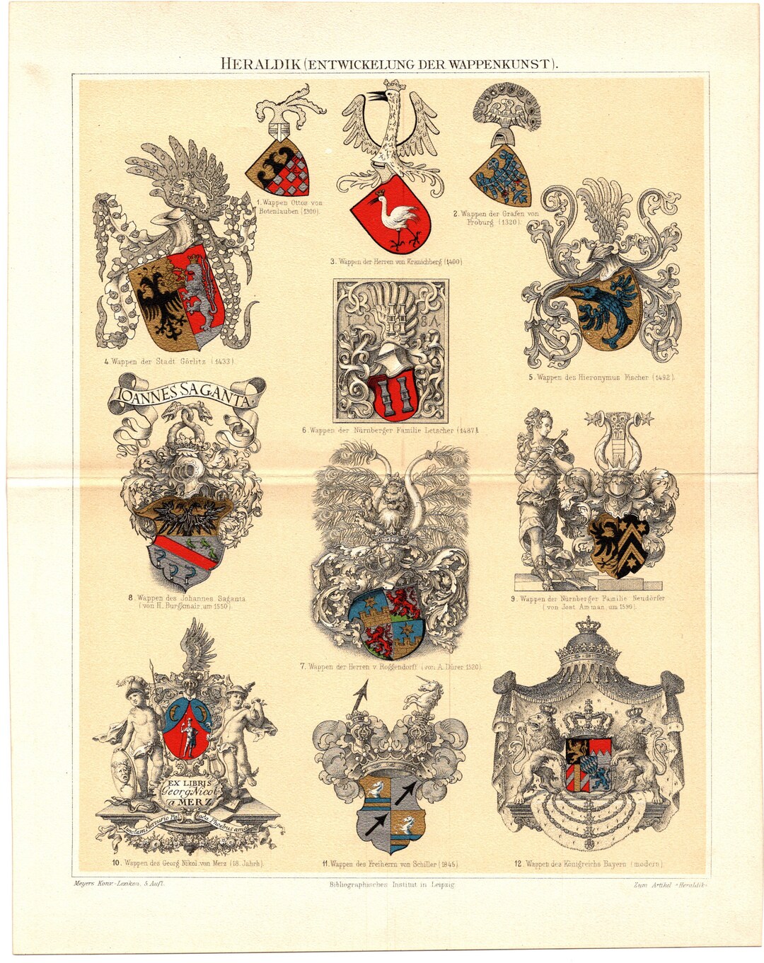 Original 1895 Antique Colour Lithography Print Development of the Coat ...