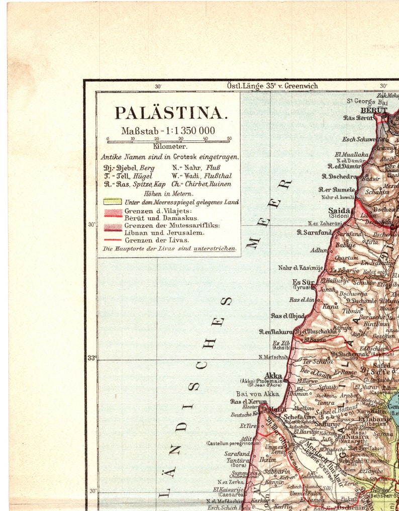 Original 1897 Antique Colour Lithography Print of a Beautiful ...