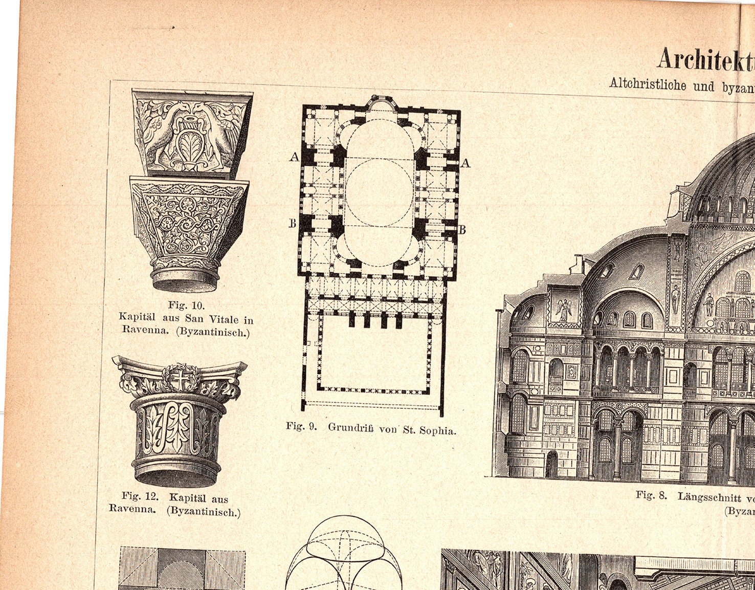 Original 1897 Antique Colour Lithography Print Different - Etsy