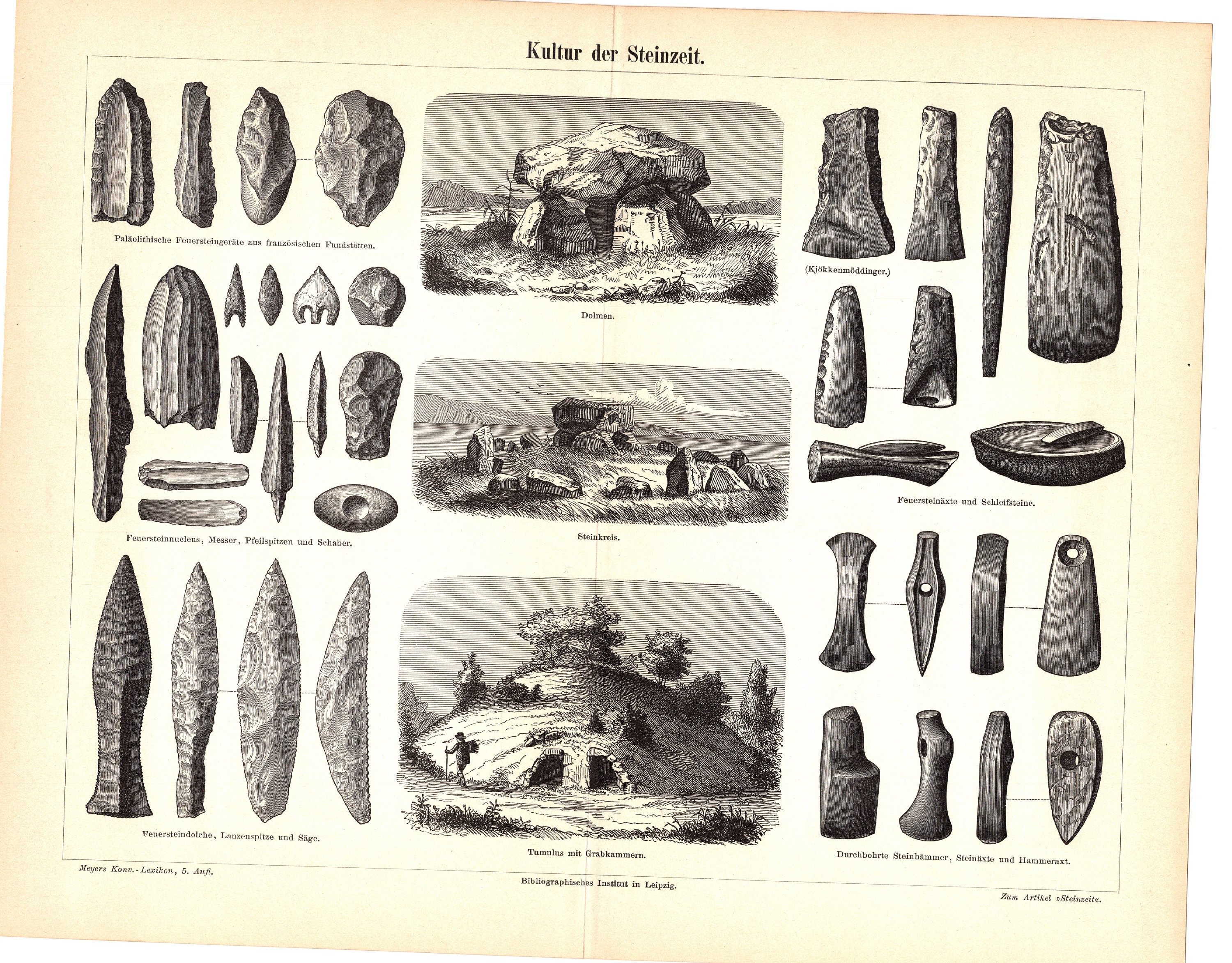 Original 1897 Antique Lithography Print of Petrifacts Stone Age Group ...