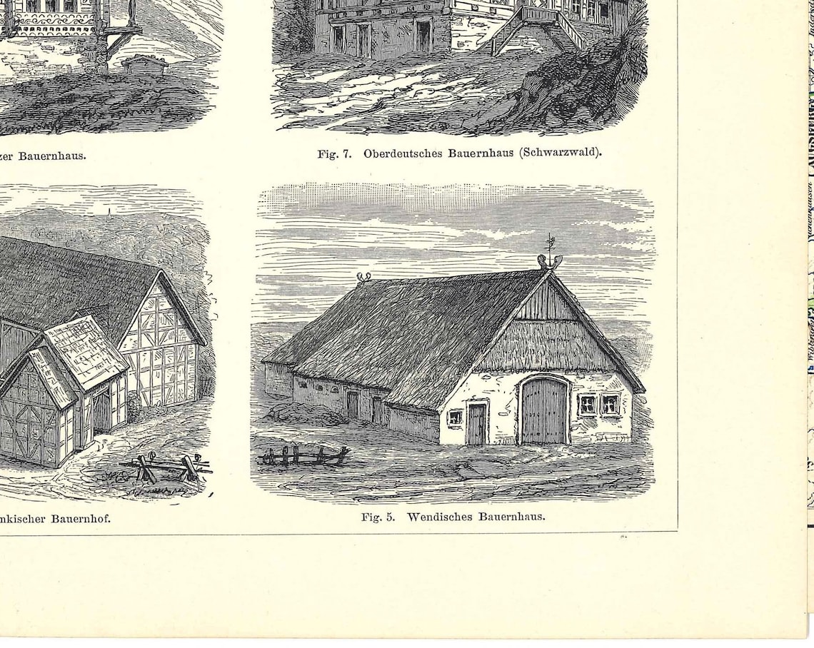 Original 1897 Antique Colour Lithography Print Different Types of ...