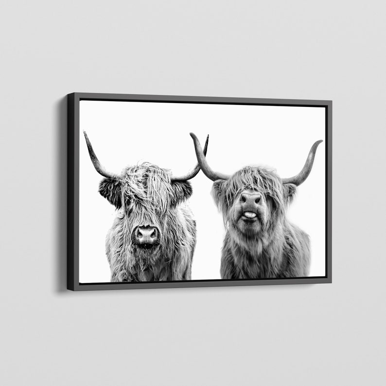 Schwarz und weiß Highland Kuh Leinwand Kunst Bauernhaus Dekor Kuh Braune Kuh Rustikale Tiere ...