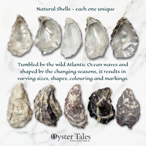 The Aran Islands Fisherman Irish Oyster - Etsy