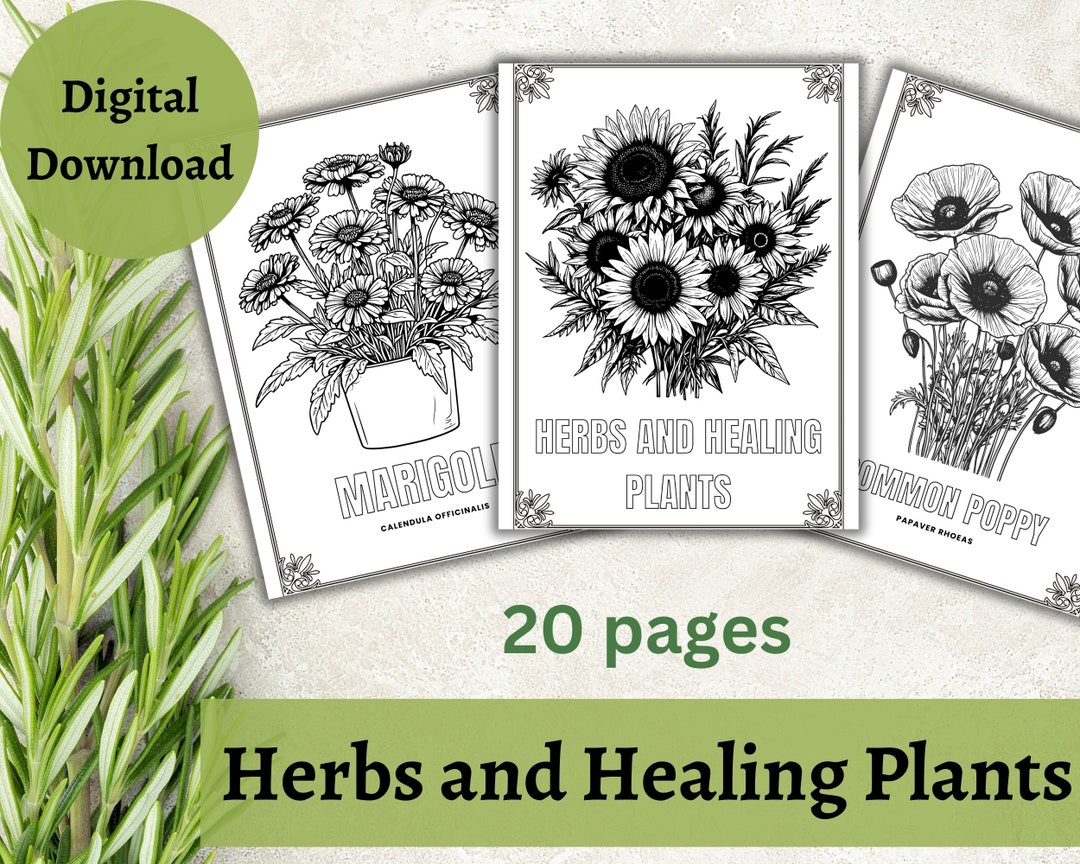 Herbs & Healing Plants Coloring Pages: 20 Printable Designs (PDF) - Etsy