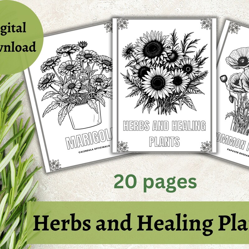 Herb Coloring Page - Etsy