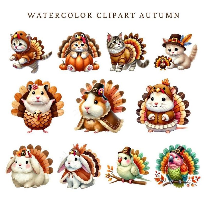 Thanksgiving Pet Costume Clipart: Watercolor Turkey PNG (digital ...