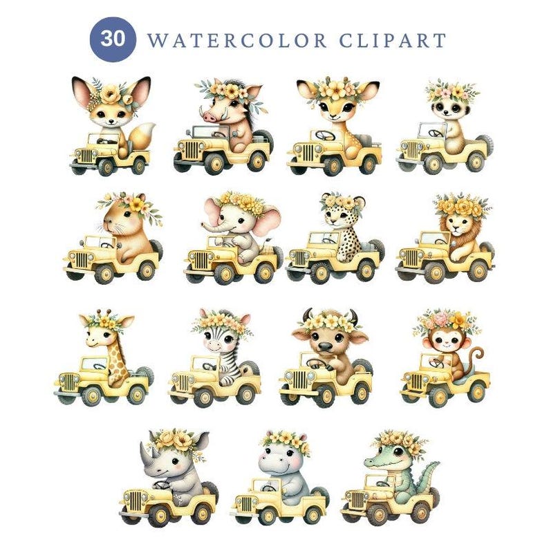 Safari Animals PNG Clipart 30 Watercolor Cute Jungle Animal Designs ...