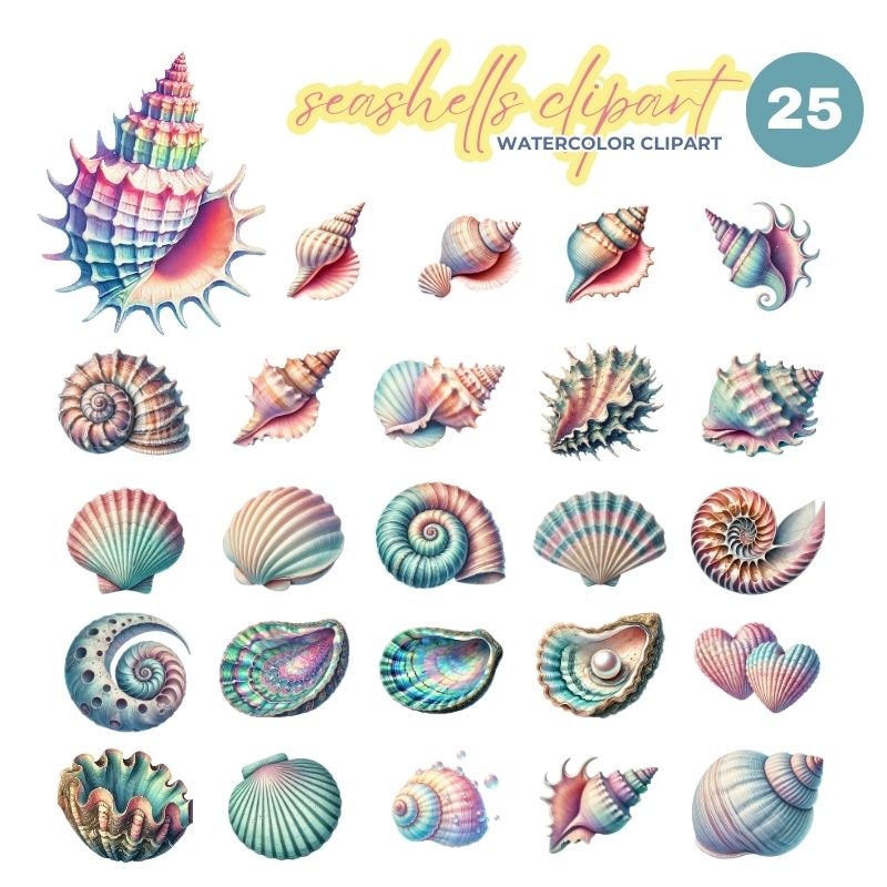 Fantasy Seashells Watercolor Clipart PNG High Quality 300 DPI Seashell ...