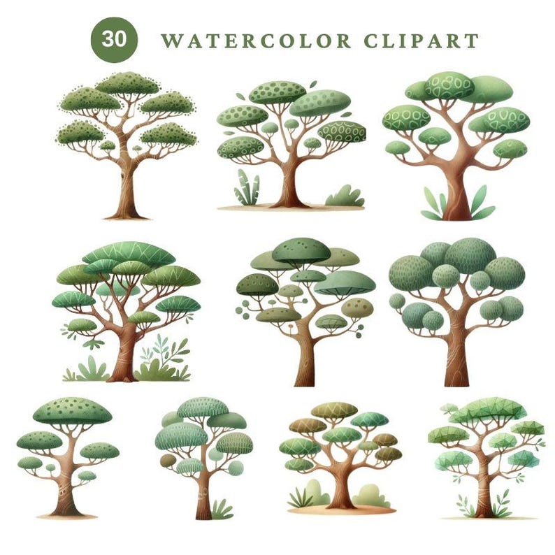Safari Trees and Leaves PNG Clipart Watercolor Jungle Foliage Designs ...