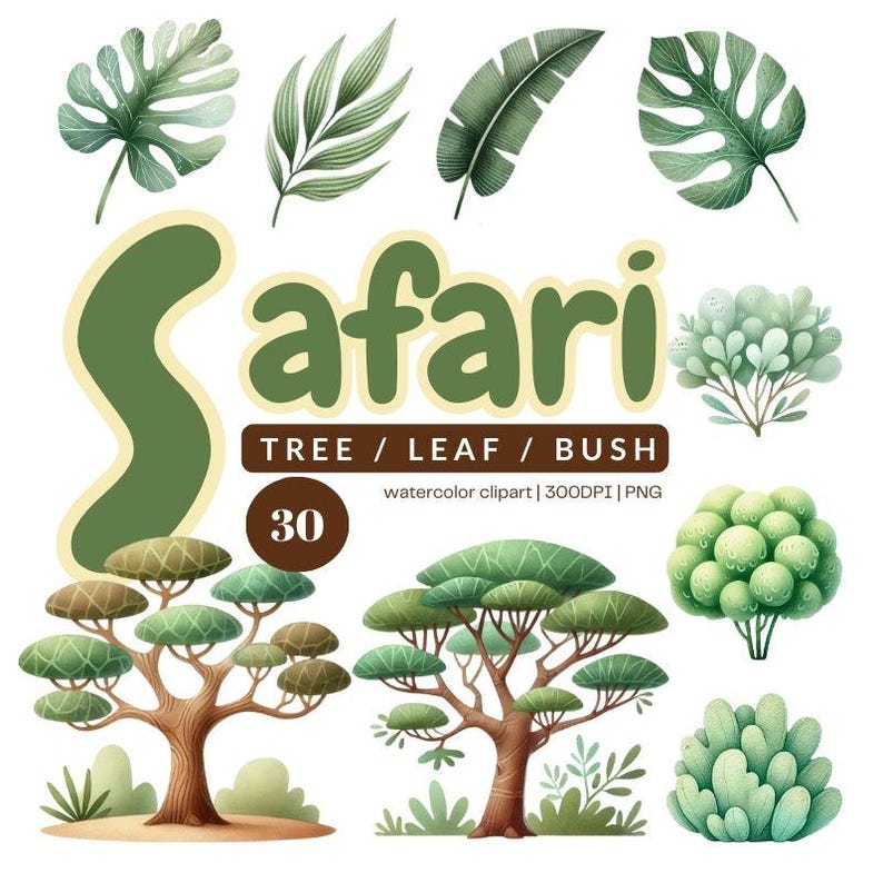 Safari Trees and Leaves PNG Clipart Watercolor Jungle Foliage Designs ...