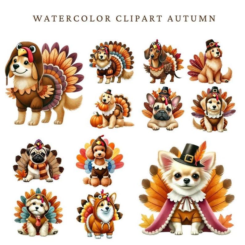 Thanksgiving Pet Costume Clipart: Watercolor Turkey PNG (digital ...
