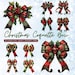 Christmas Coquette Bow Clipart Set Festive Santa Bow PNG for Holiday ...