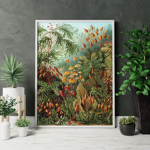 Botanical Canvas - Etsy