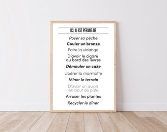 Affiche humour WC - affiche ici tous les culs sont permis N&B - fichier numérique A2/A3/A4/A5 ...