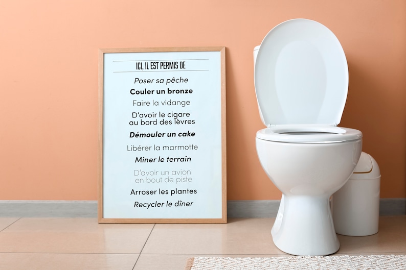Cartel de humor WC - cartel aquí está permitido - expresión wc ...