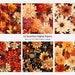 Days of Autumn, Autumn Fall Thanksgiving Seamless Repeat Pattern ...