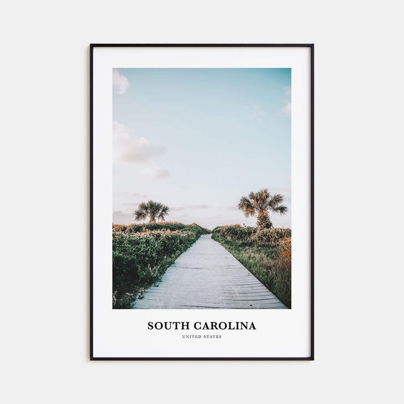South Carolina Print - Etsy