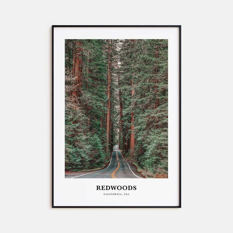 Redwood Print - Etsy
