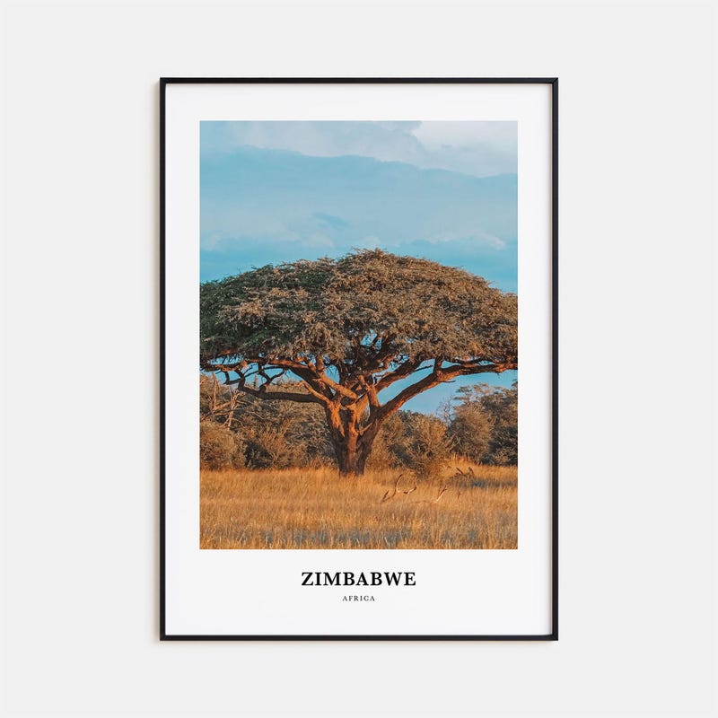 Zimbabwe Art - Etsy