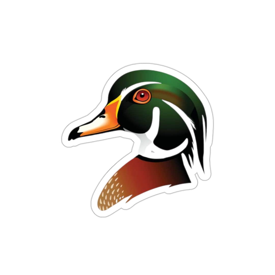 Wood Duck Flying, Woodie Sticker, Wood Duck, Duck Hunting Sticker ...