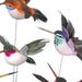 Spring Summer Natural Hummingbird Floral Picks - Set of 6 - Etsy